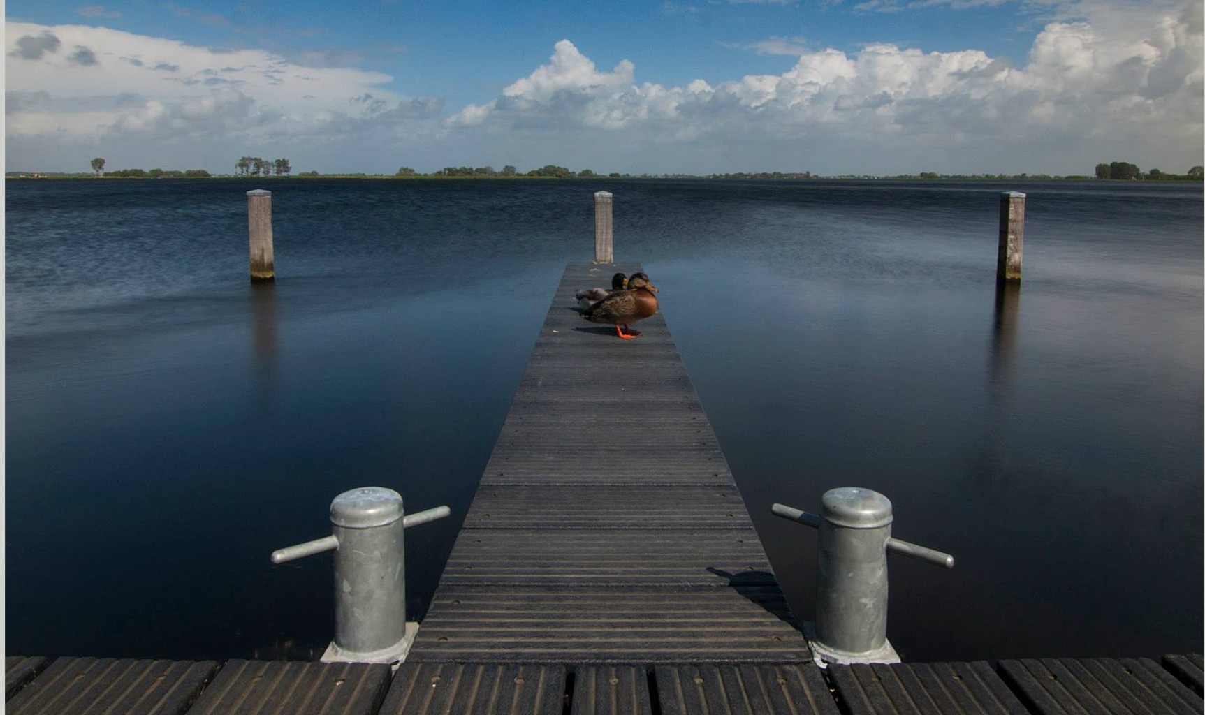 Tools | MODUS janssen